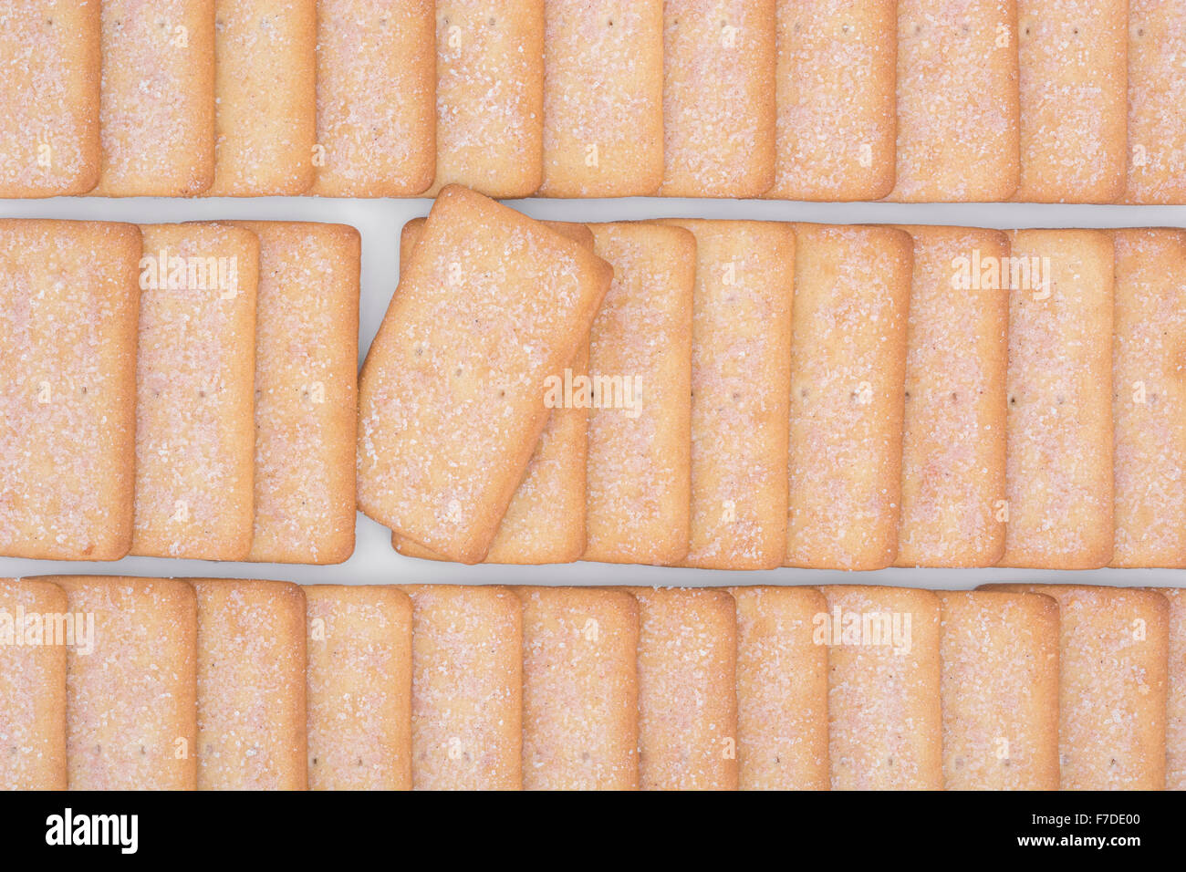 Computer cookie concept. Rows of sweet biscuits with one biscuit ...