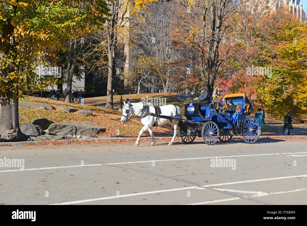 Overworked horses hi-res stock photography and images - Alamy