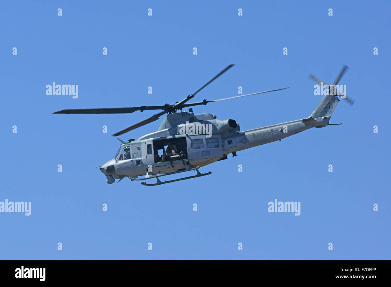 Flying dog trail hi-res stock photography and images - Alamy