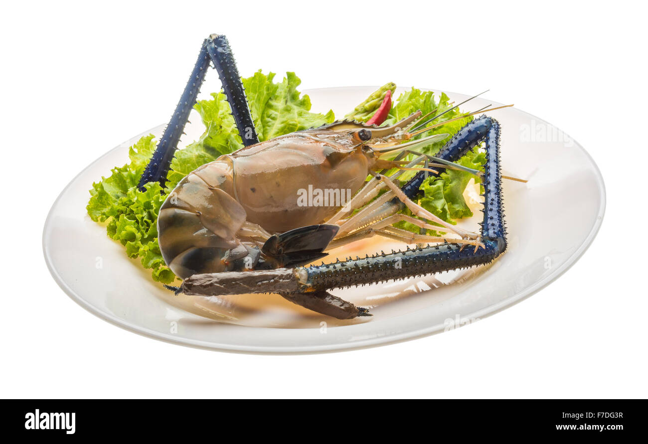 Big Freshwater prawn ready for cooking Stock Photo - Alamy