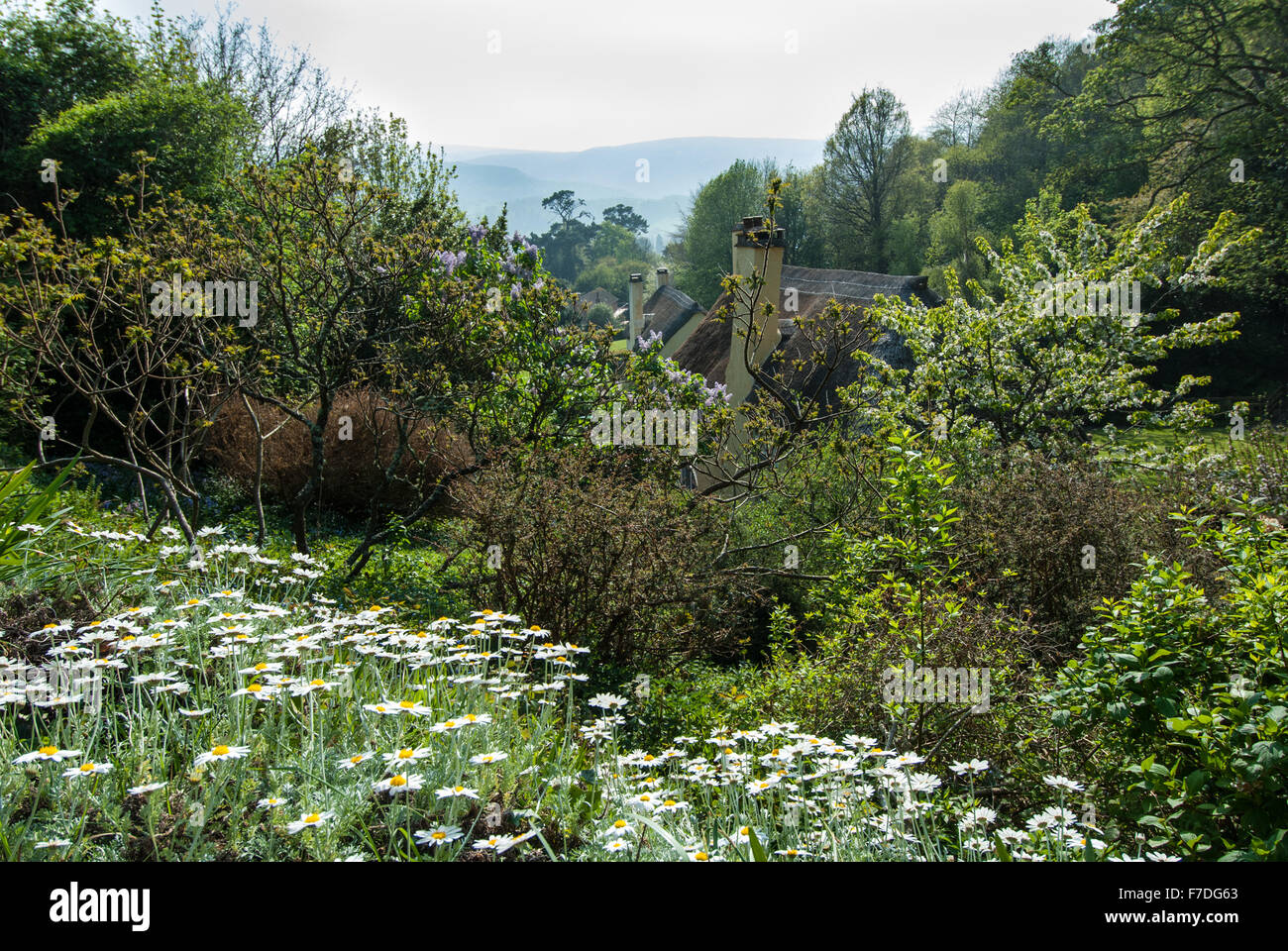 Selworthy somerset hi-res stock photography and images - Alamy