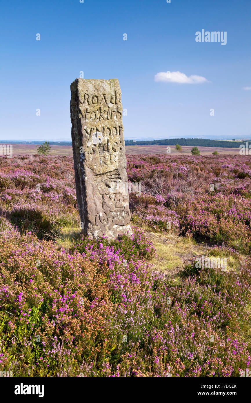 York yorkshire england uk september hi-res stock photography and images ...