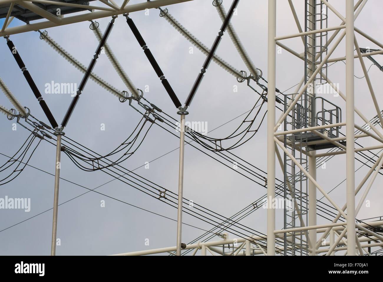 Electric lines above Stock Photo - Alamy