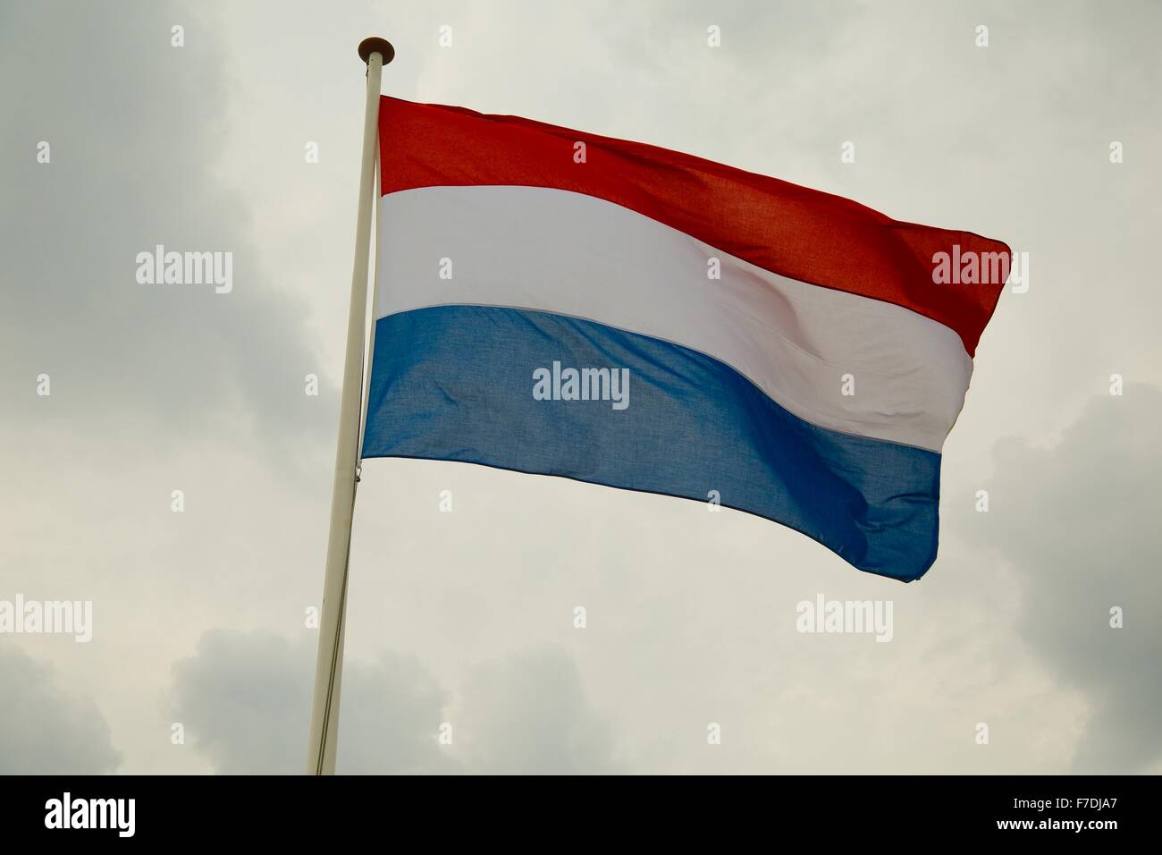 Netherlands waving flag bright hi-res stock photography and images - Alamy