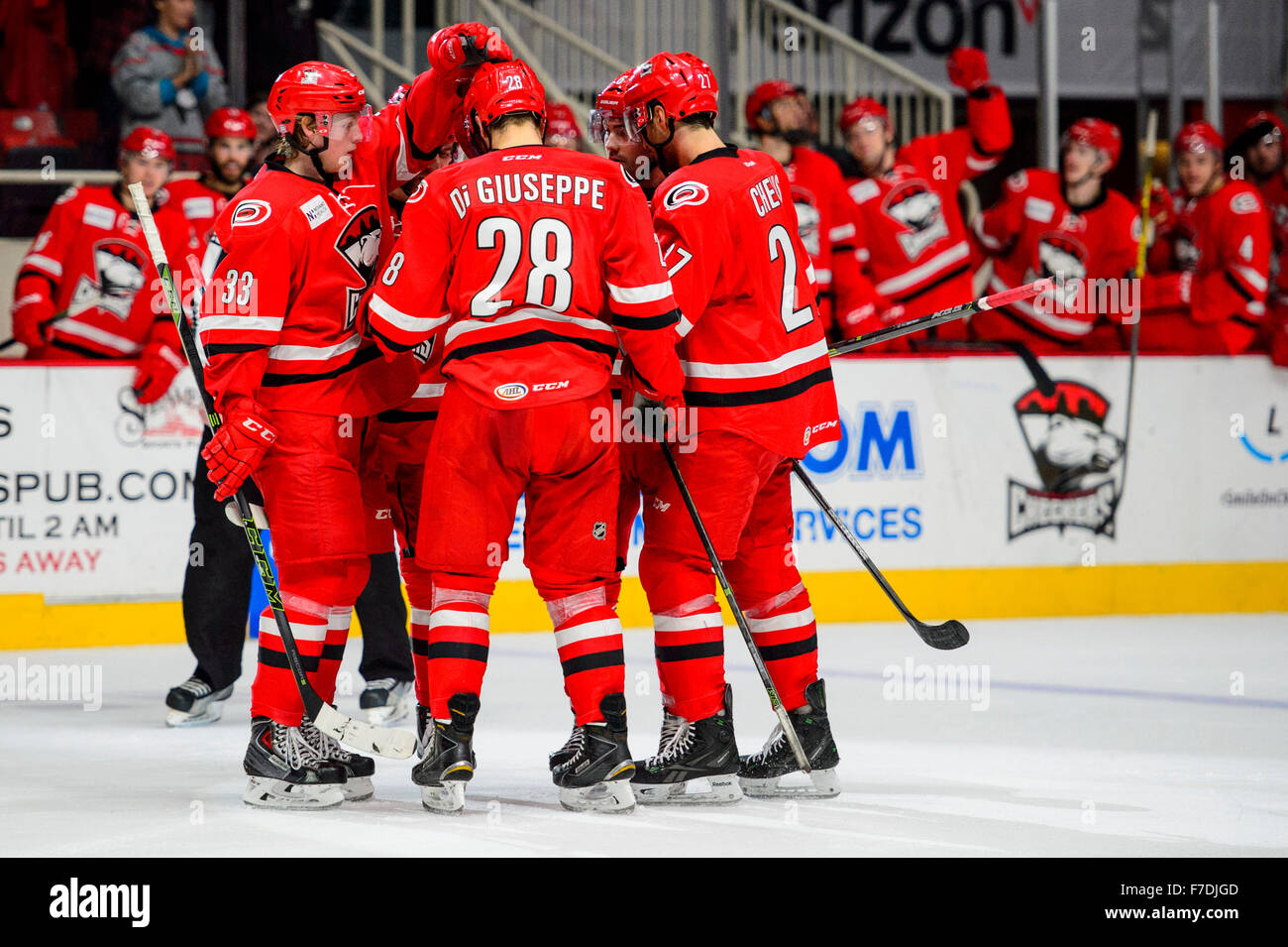 The Checkers celebrate a goal during the AHL game between the Iowa Wild ...