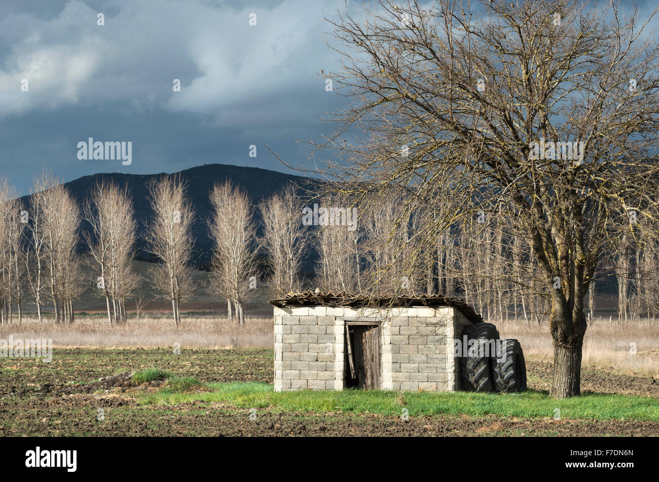 Farmers shed on the plain of Mantineia, near Tripoli, Southern Arcadia ...