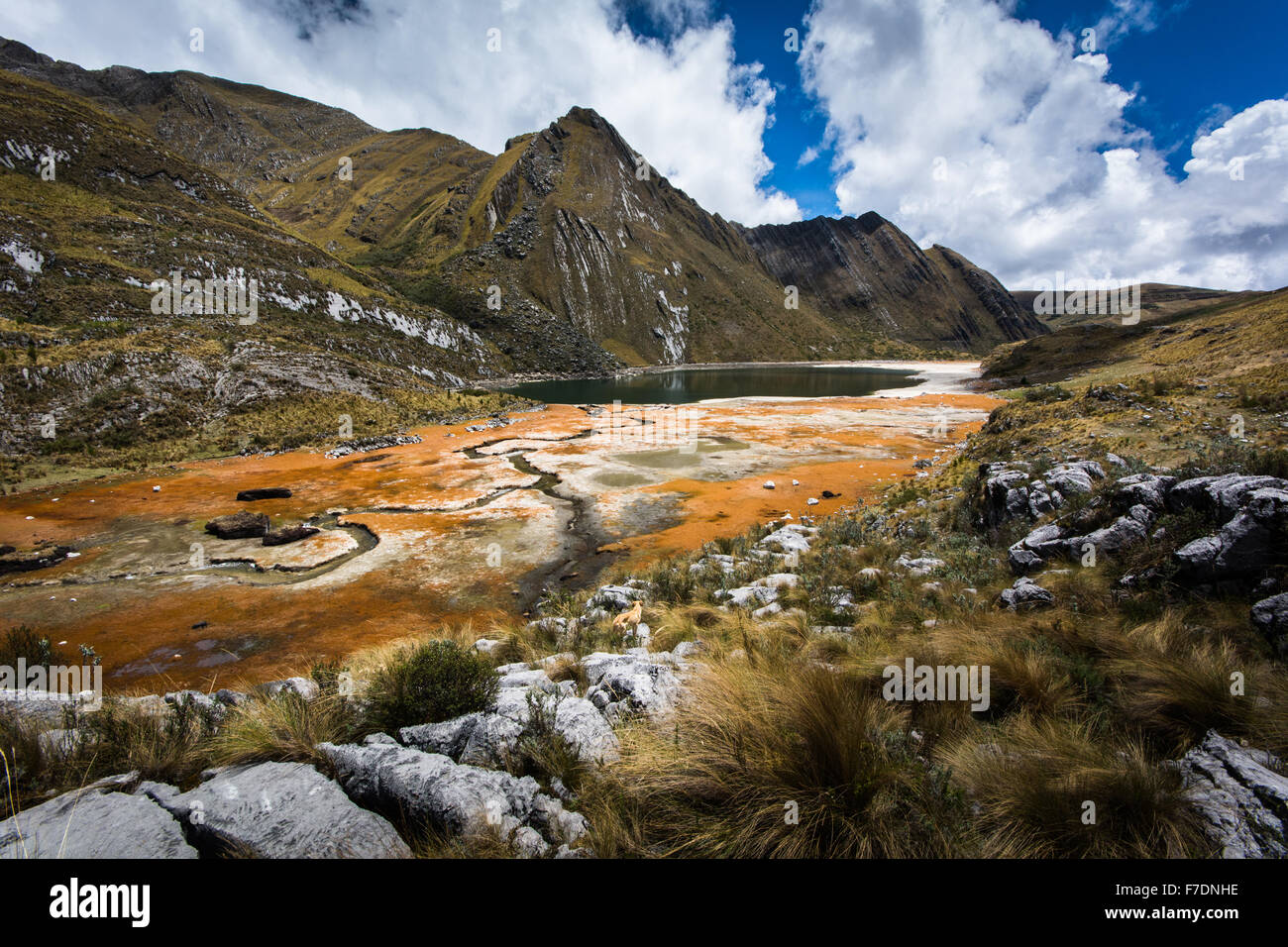 Cajamarca region hi-res stock photography and images - Alamy