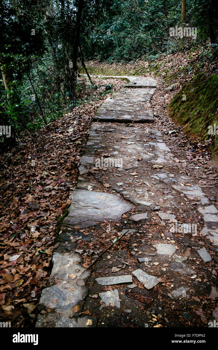 Changsha, Hunan, China - The view at Yuelu Mountain National Park, a ...