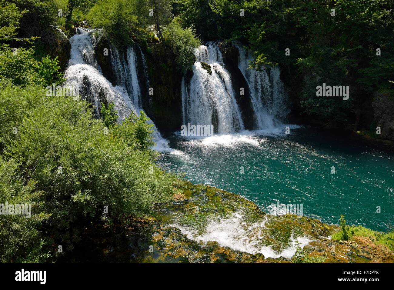waterfall with clean and fresh water nature with green forest in ...