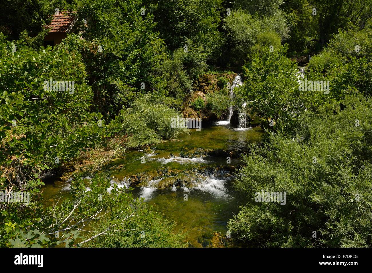 waterfall with clean and fresh water nature with green forest in ...