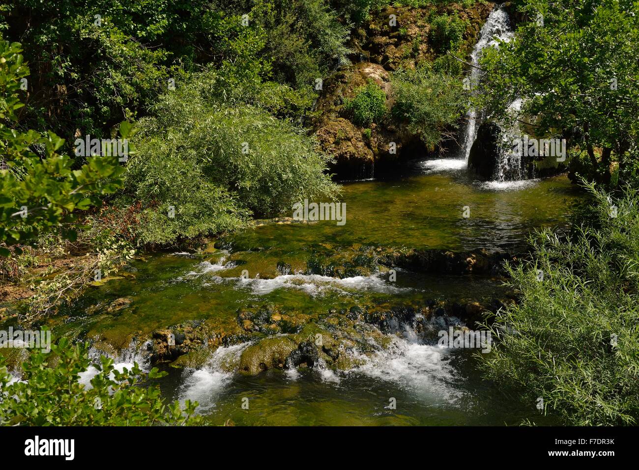 waterfall with clean and fresh water nature with green forest in ...