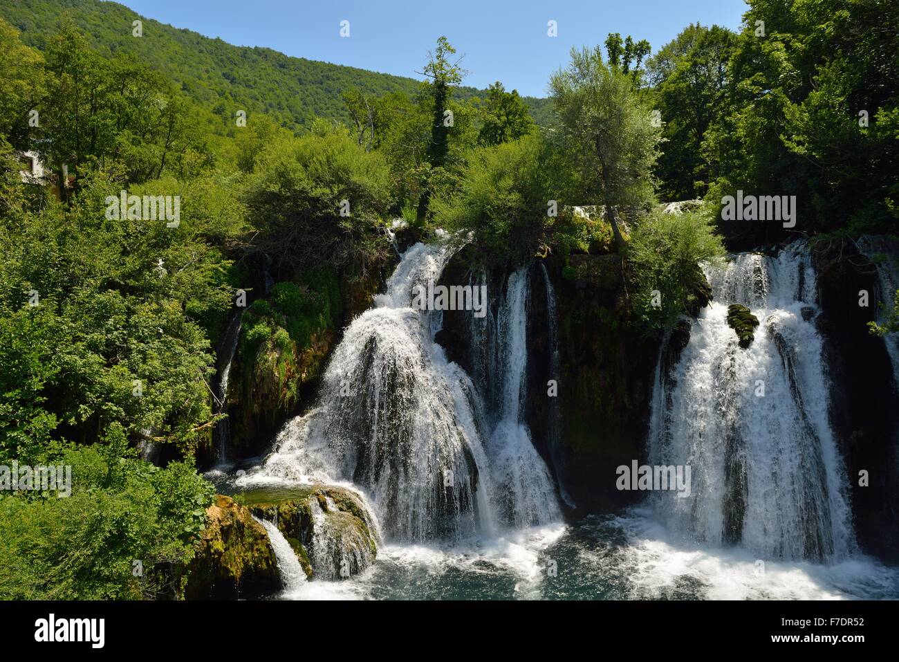 waterfall with clean and fresh water nature with green forest in ...