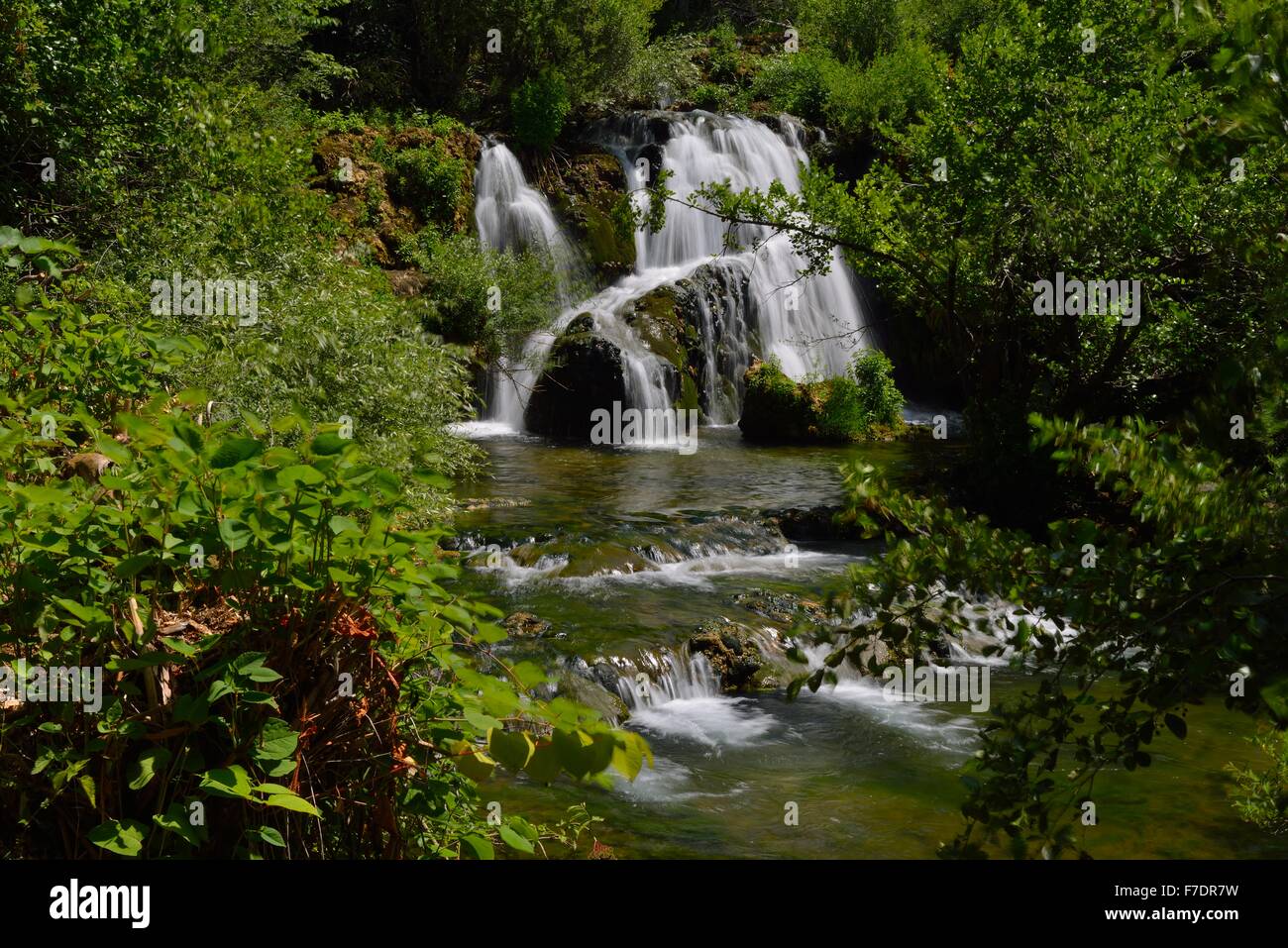 waterfall with clean and fresh water nature with green forest in ...