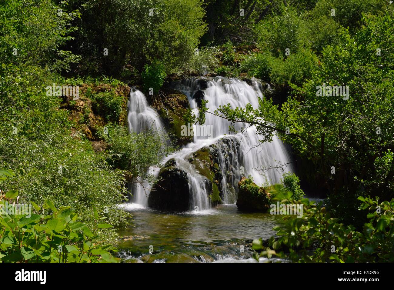 waterfall with clean and fresh water nature with green forest in ...
