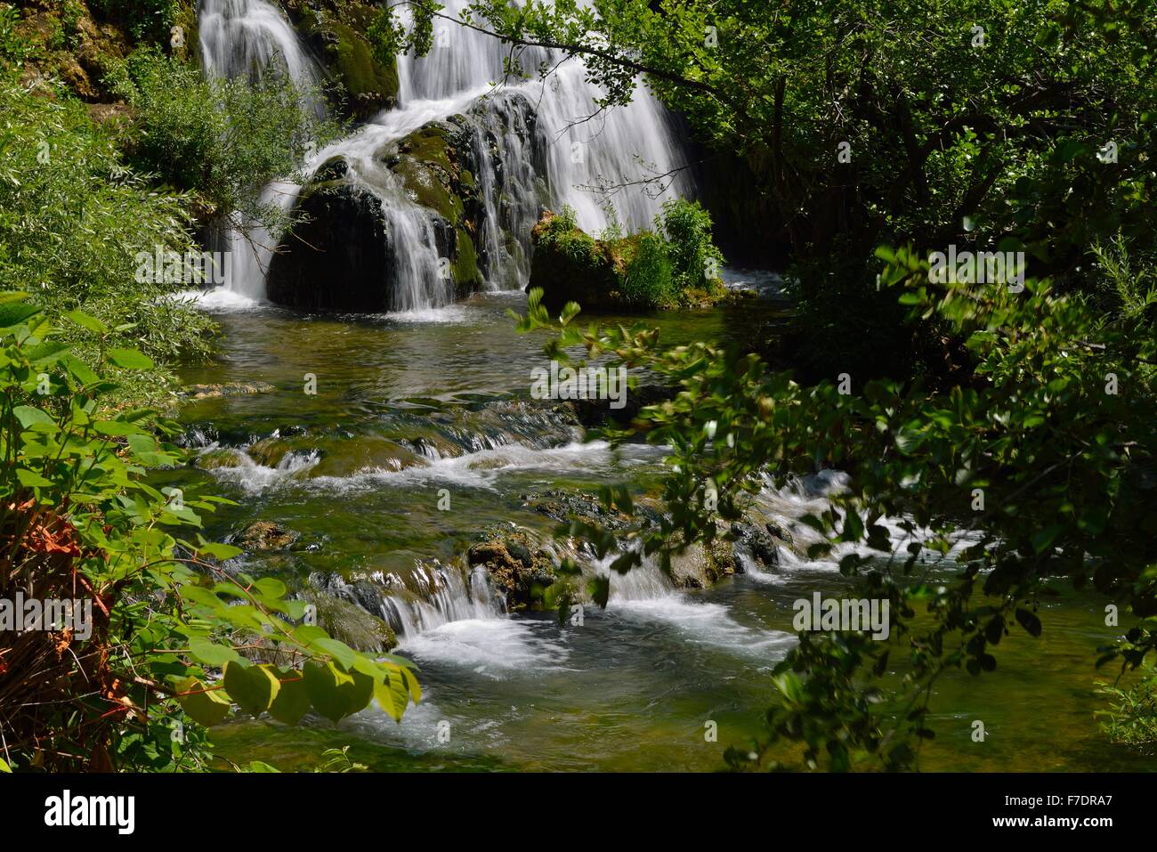 waterfall with clean and fresh water nature with green forest in ...