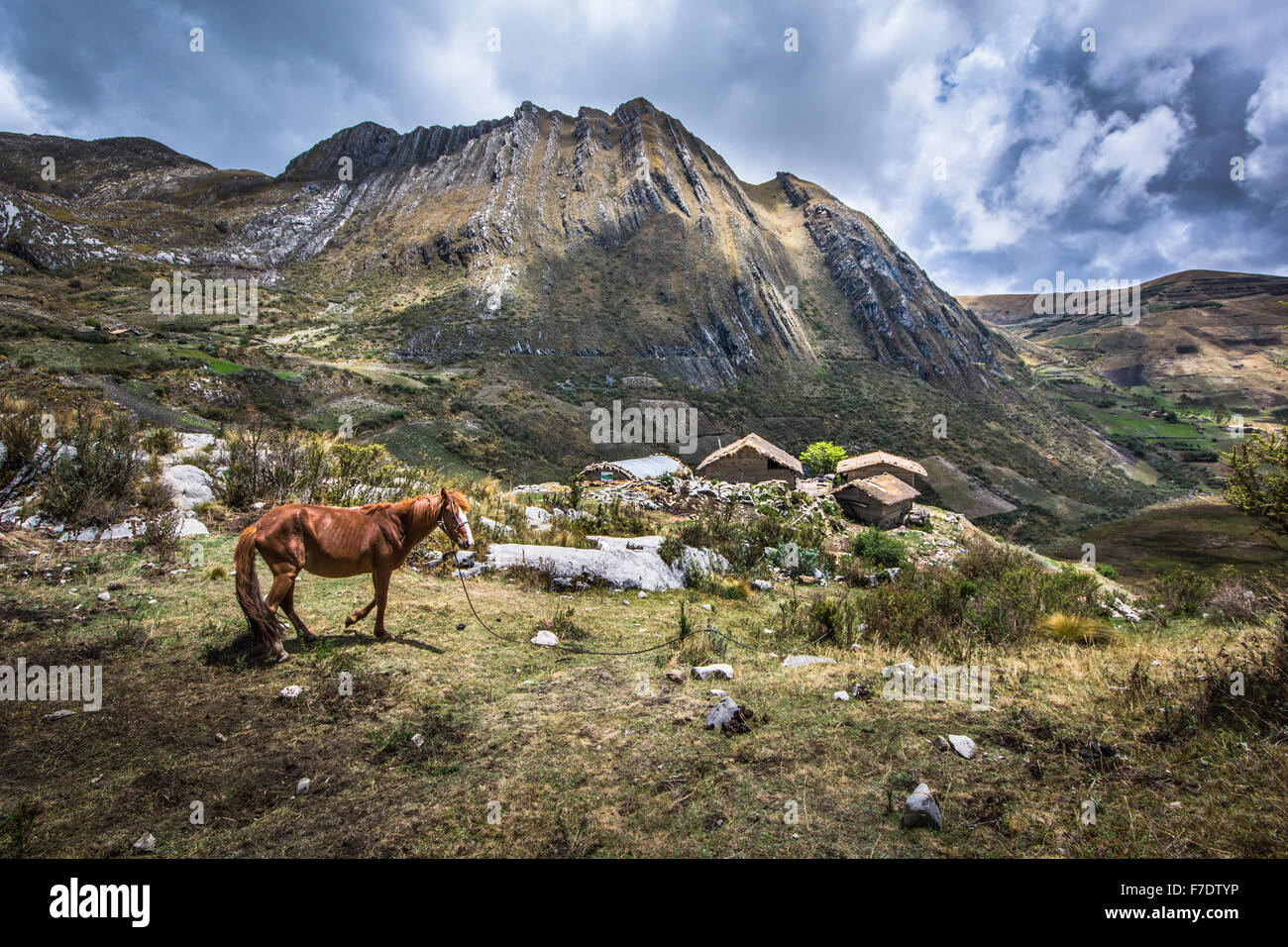 Peruvian mountain landscape with horse on hill overlooking small ...
