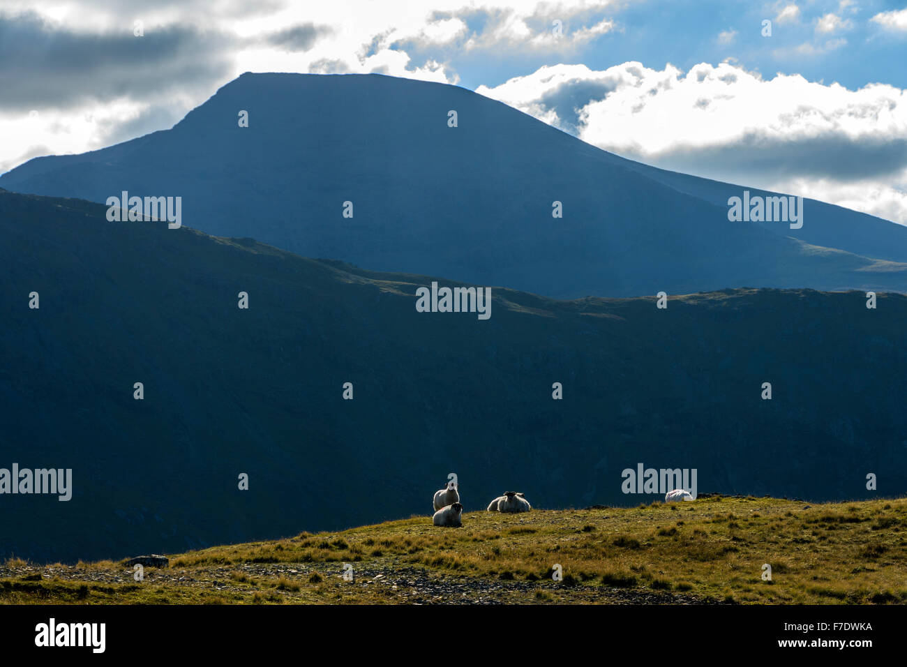 Ben more mull summit hi-res stock photography and images - Alamy