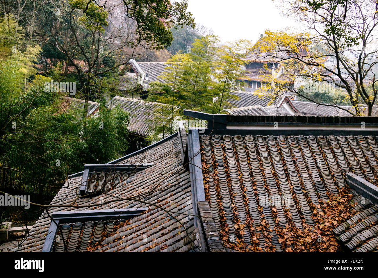 Changsha, Hunan province, China - The view of Yuelu Academy, an ancient ...