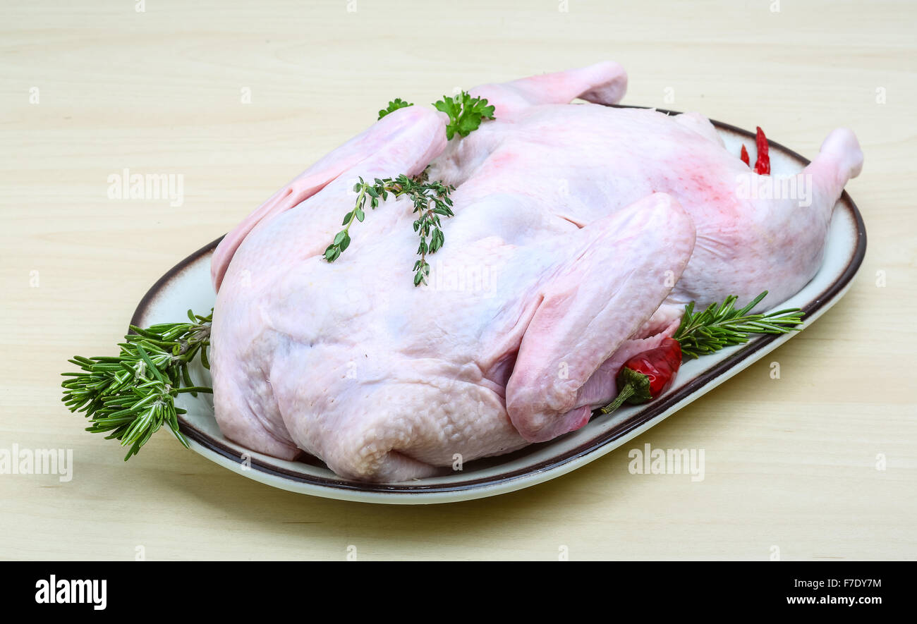 Raw duck with rosemary and spices - ready for cooking Stock Photo - Alamy
