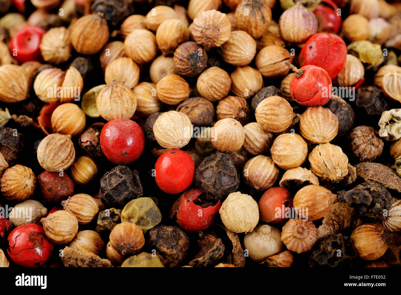 Red seeds hi-res stock photography and images - Alamy