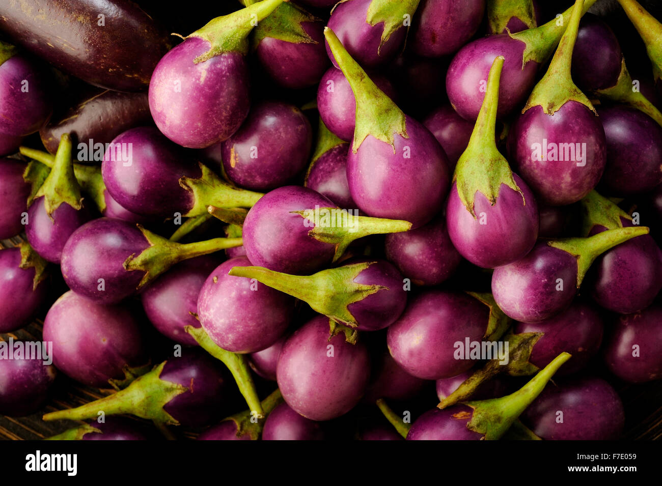 Brinjal eggplant hi-res stock photography and images - Alamy