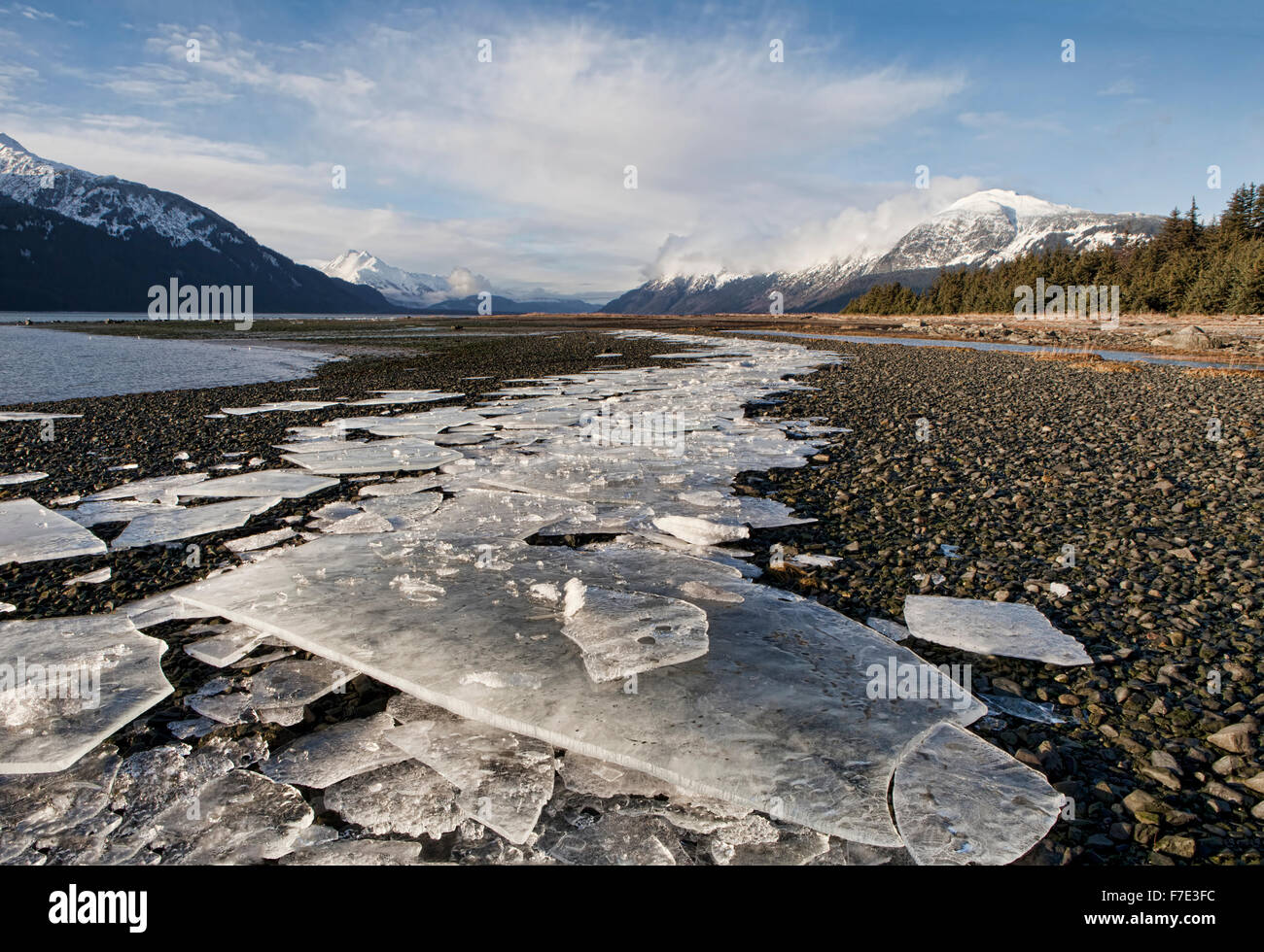 Broken ice sheets on the beach of the Chilkat Inlet in Southeast Alaska ...