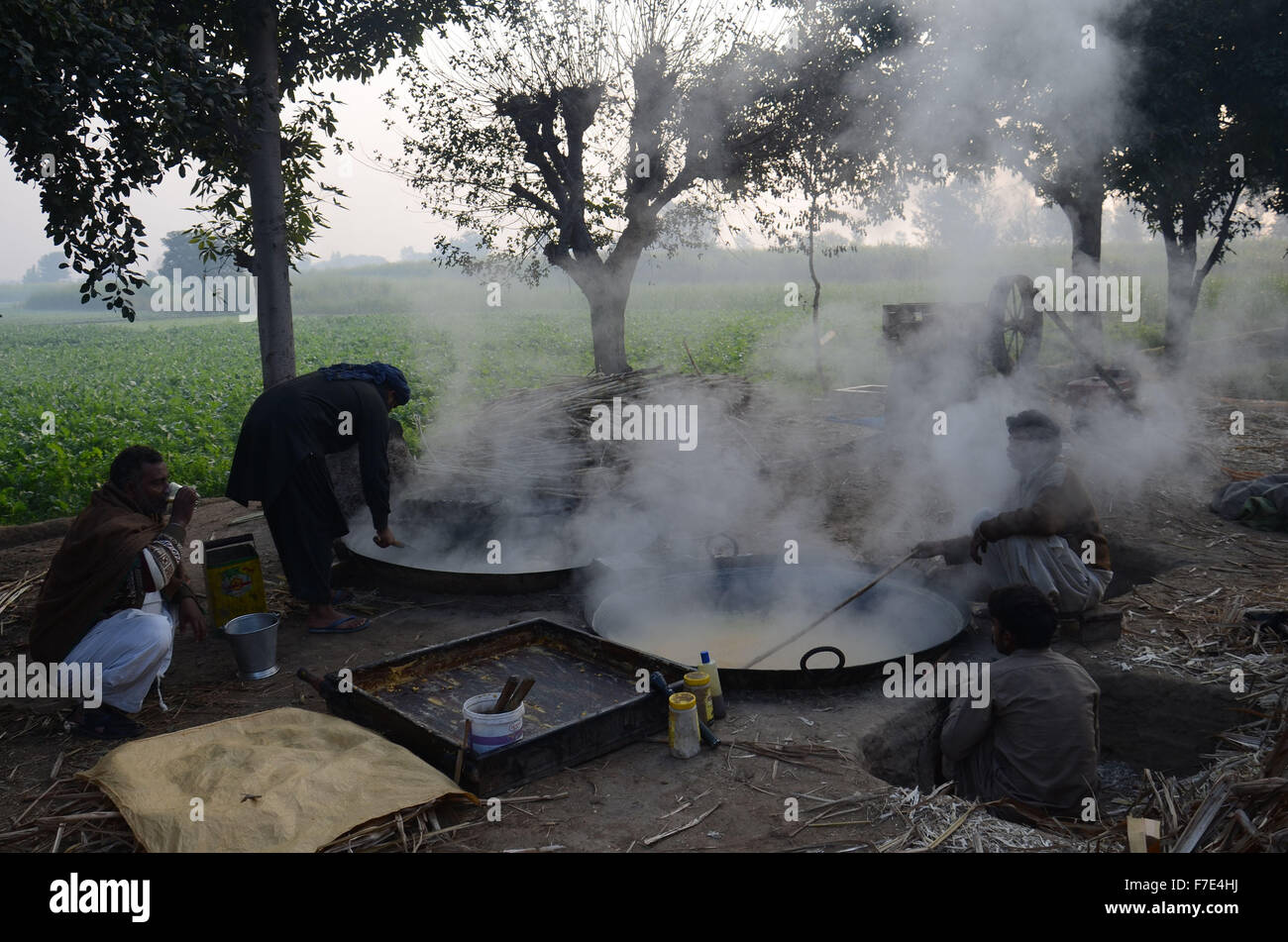 Lahore, Pakistan. 30th Nov, 2015. Pakistani farmers pouring boiled ...