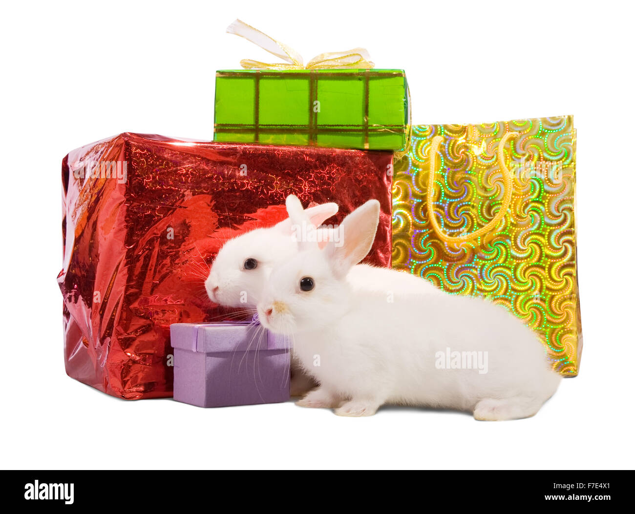 Two white rabbits with gifts. Isolated on white background Stock Photo ...