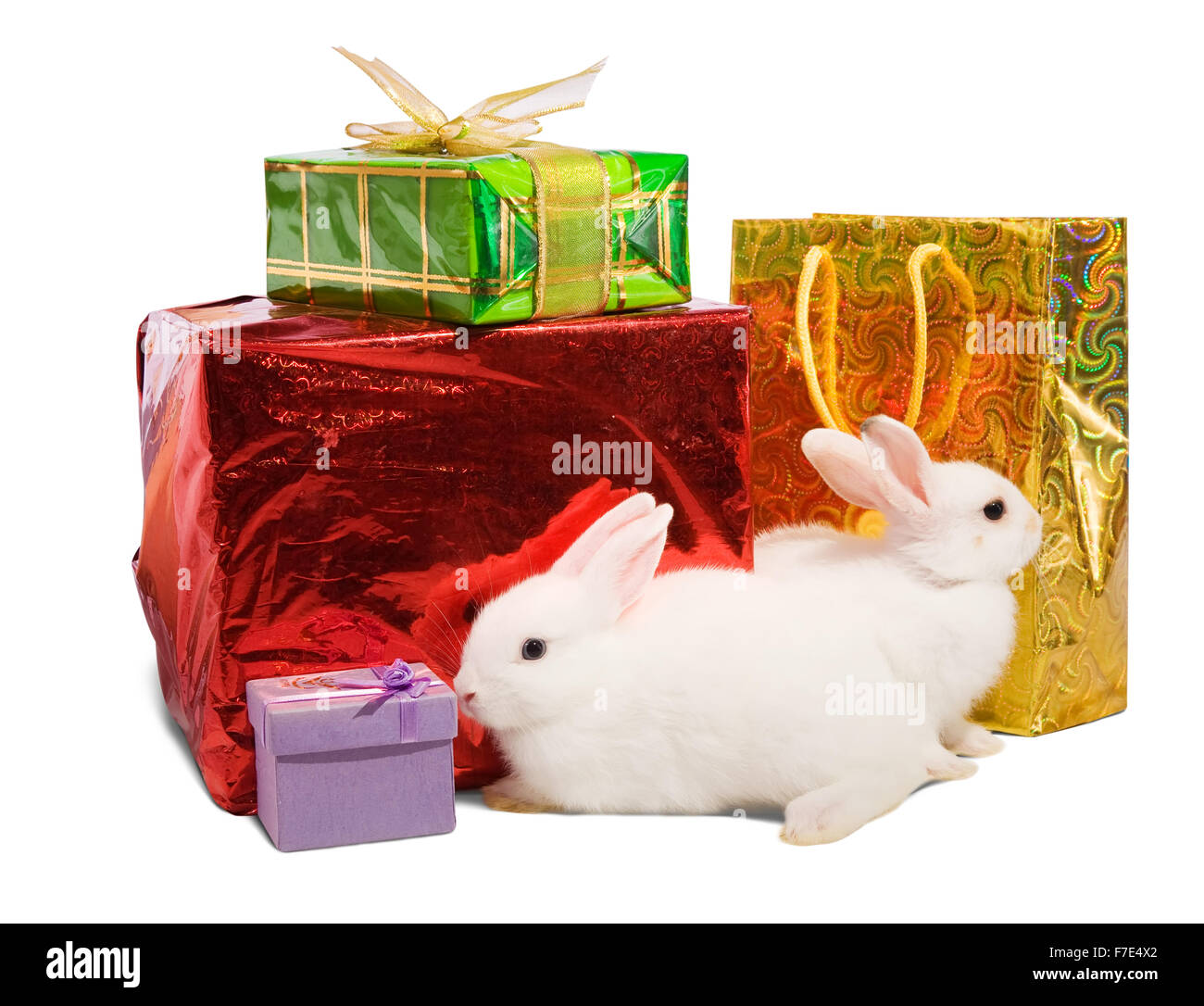 Two white rabbits with gifts. Isolated on white background Stock Photo ...