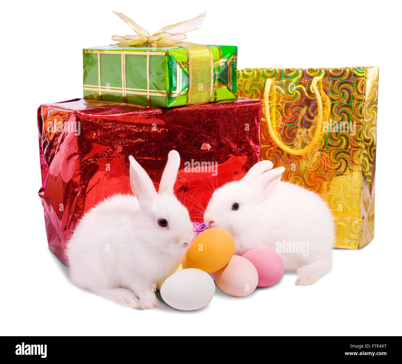 Two white easter rabbits with gifts. Isolated on white background Stock ...
