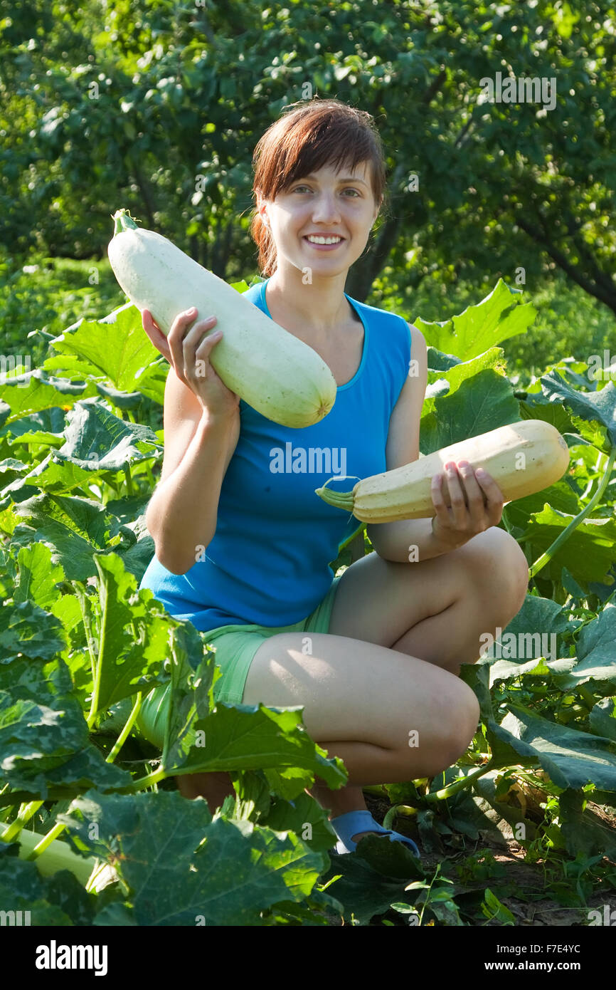 young woman is picking vegetable marrow in field Stock Photo - Alamy