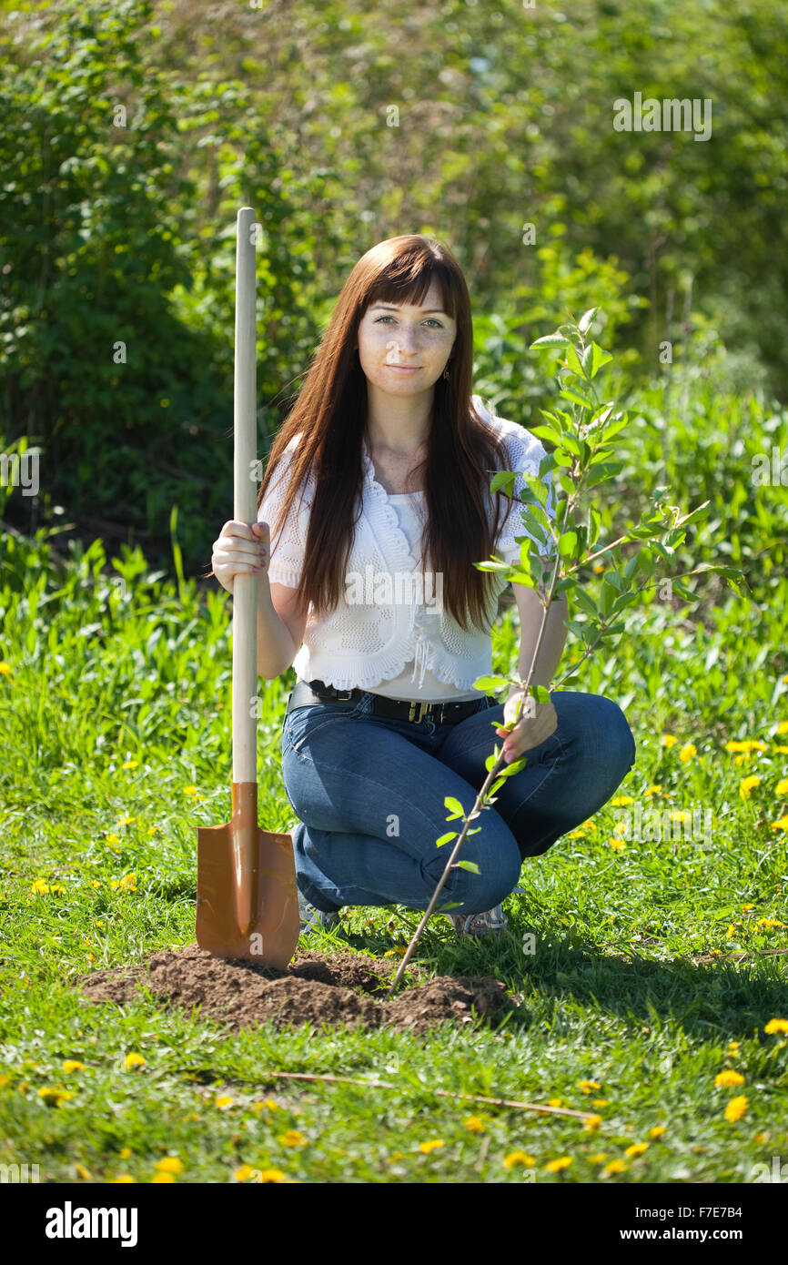 young woman planting tree in spring Stock Photo - Alamy