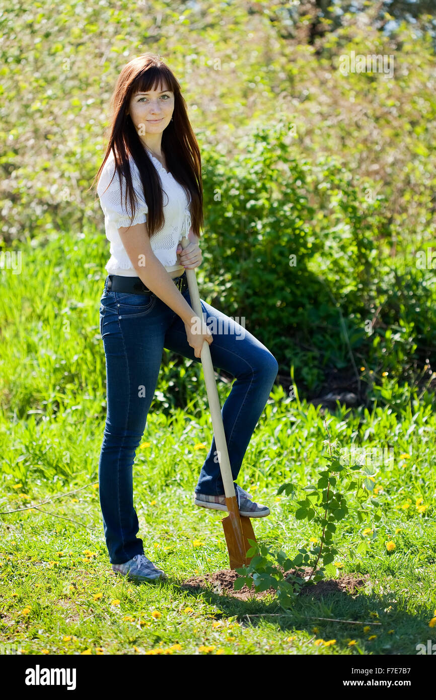 Set fruit tree planting hi-res stock photography and images - Alamy