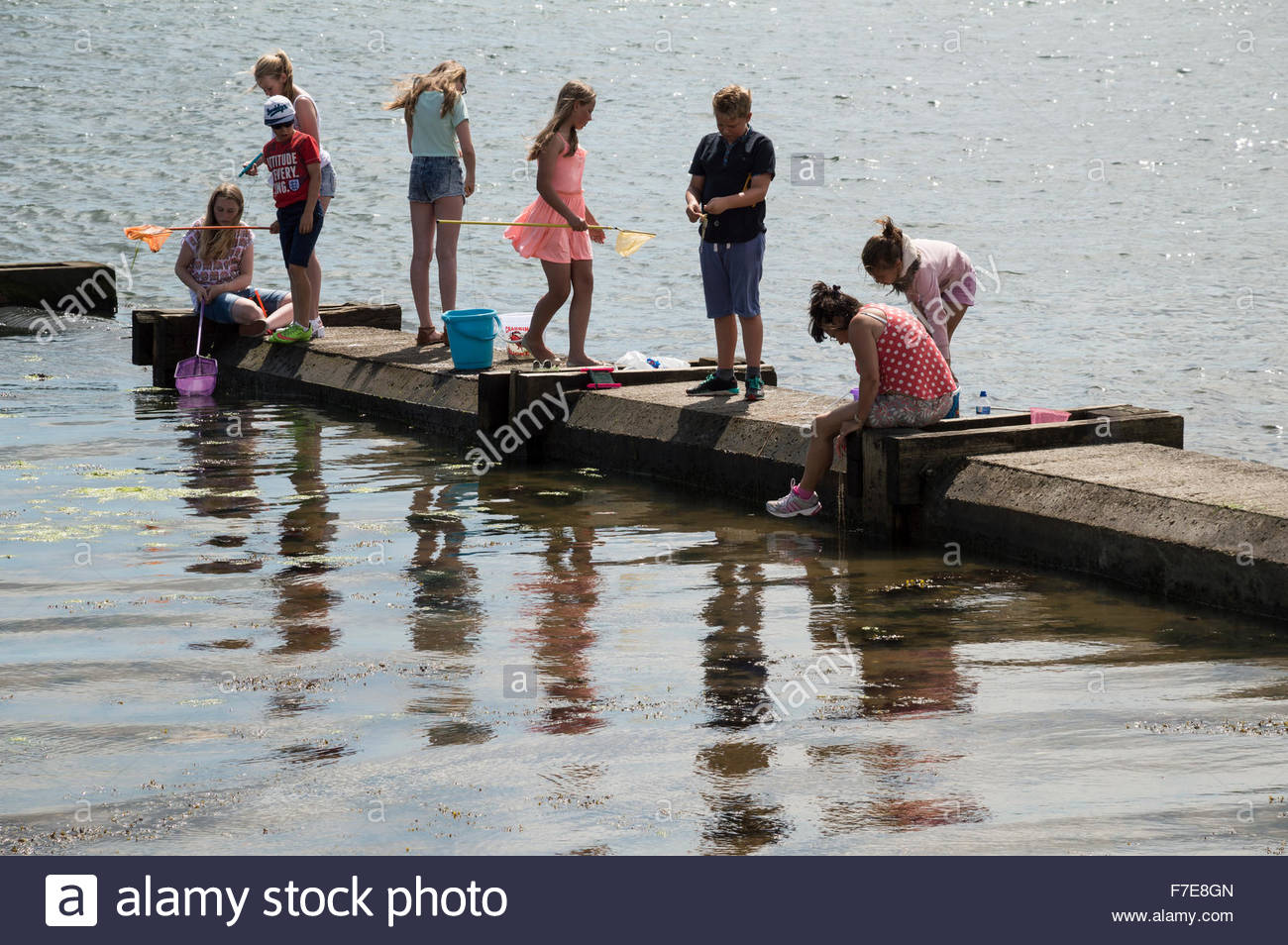 Children Crabbing Stock Photos & Children Crabbing Stock Images - Alamy
