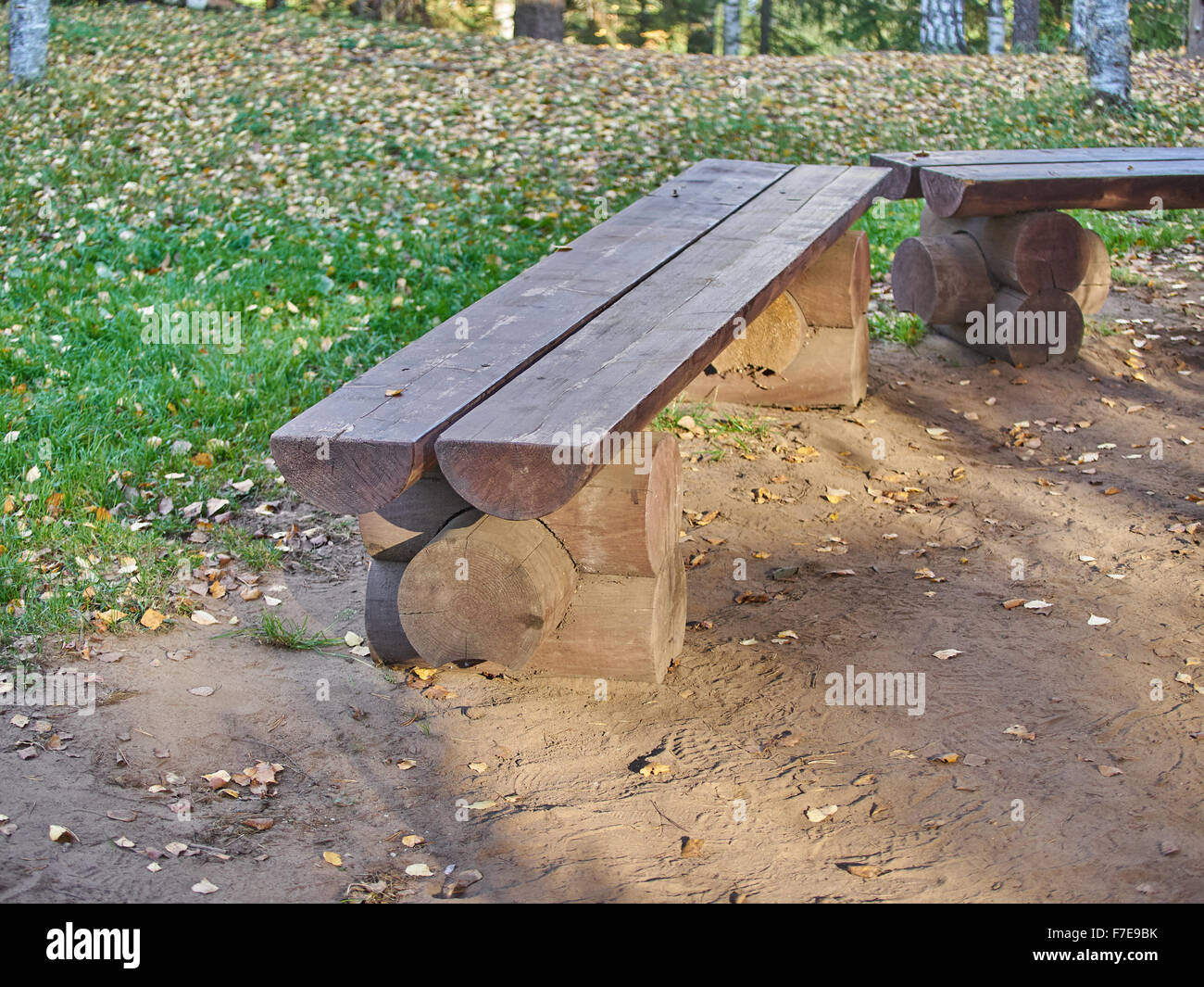 Bench in forest Stock Photo - Alamy