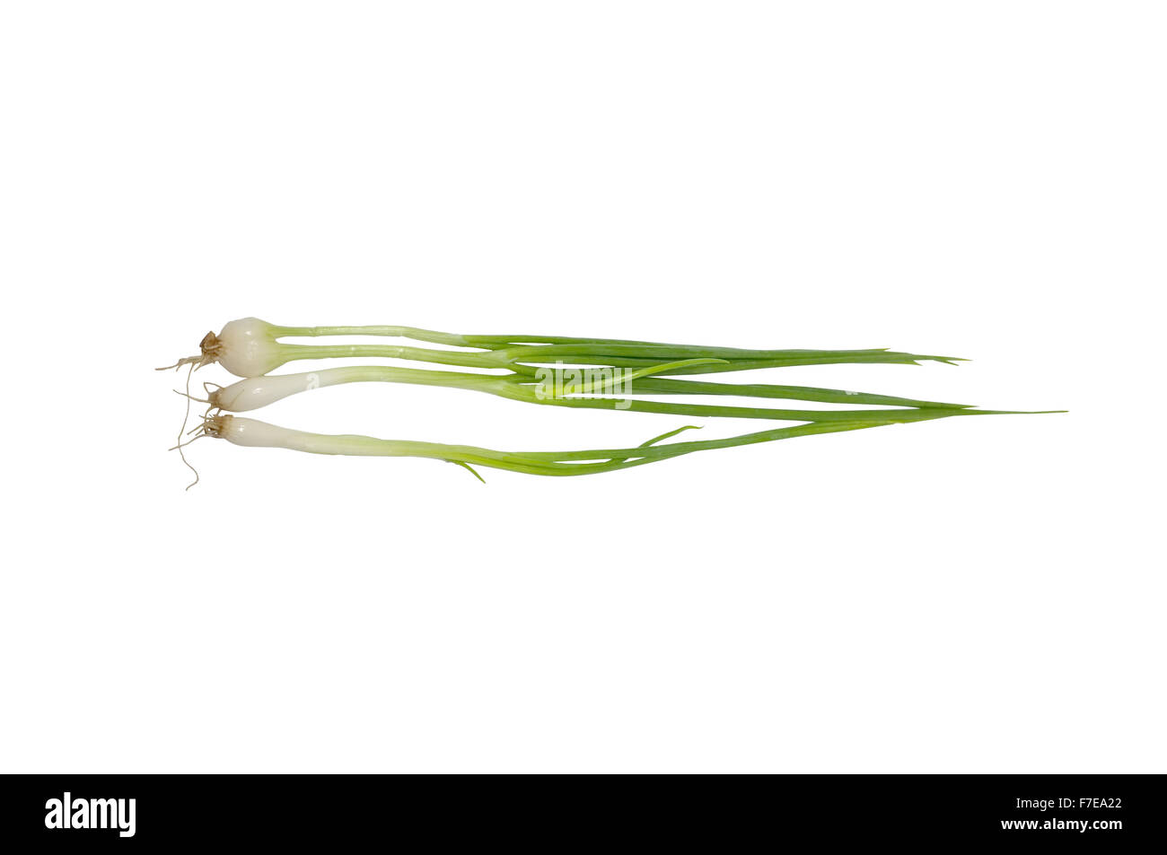 Spice spring hi-res stock photography and images - Alamy