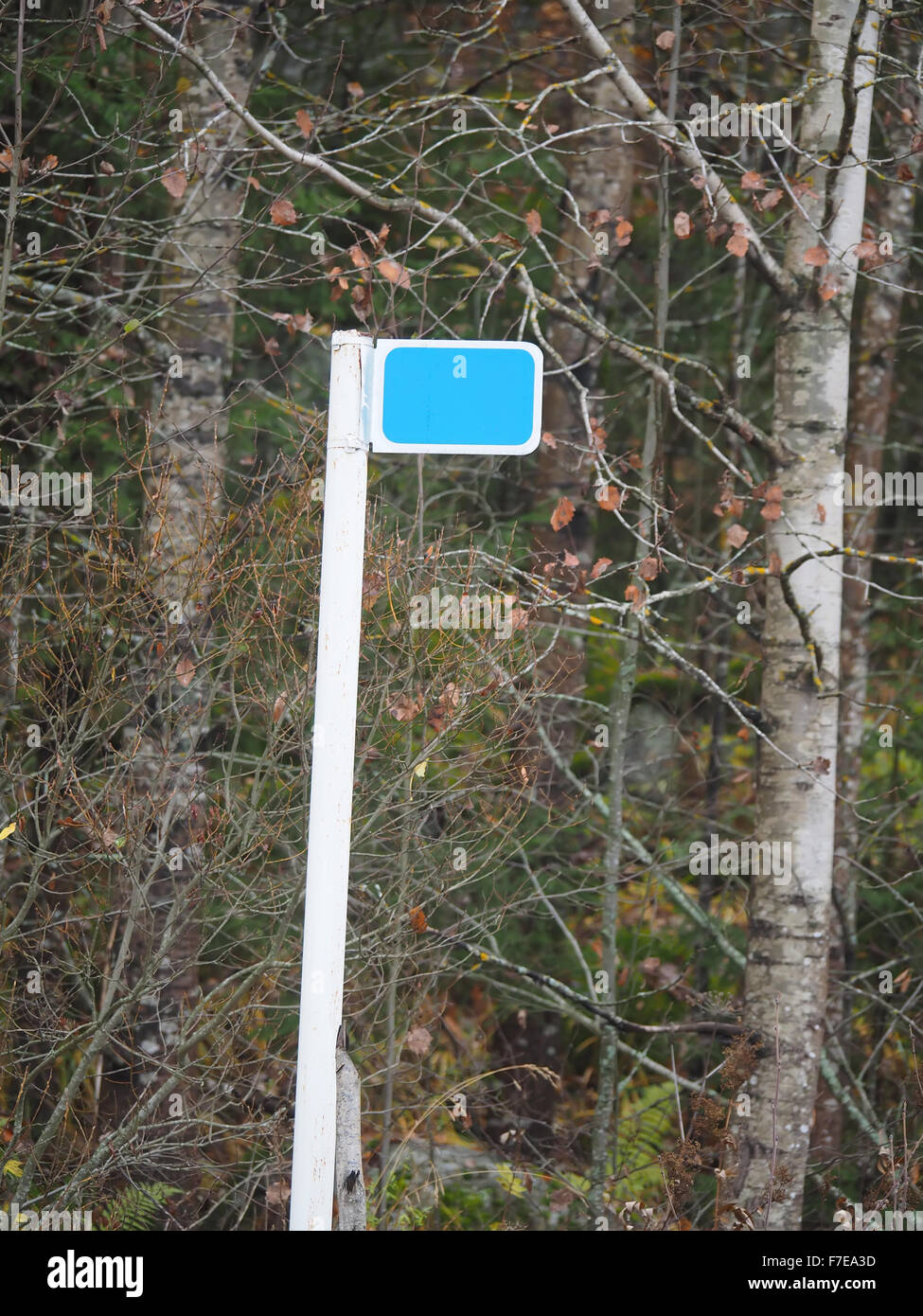 km blank sign in the forest Stock Photo - Alamy