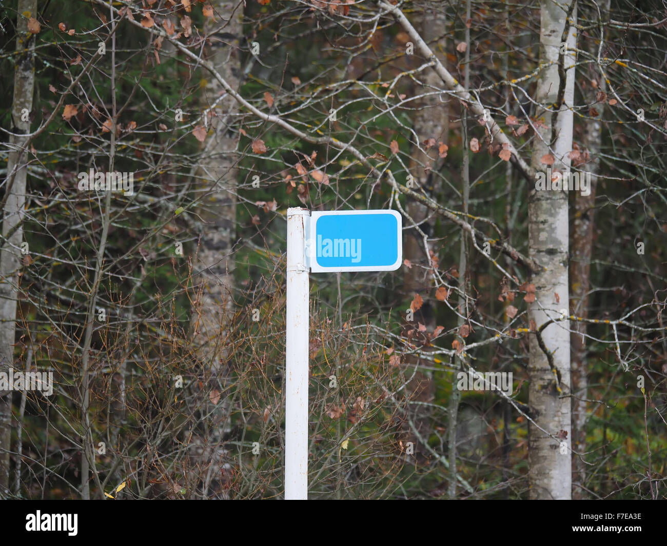 km blank sign in the forest Stock Photo - Alamy