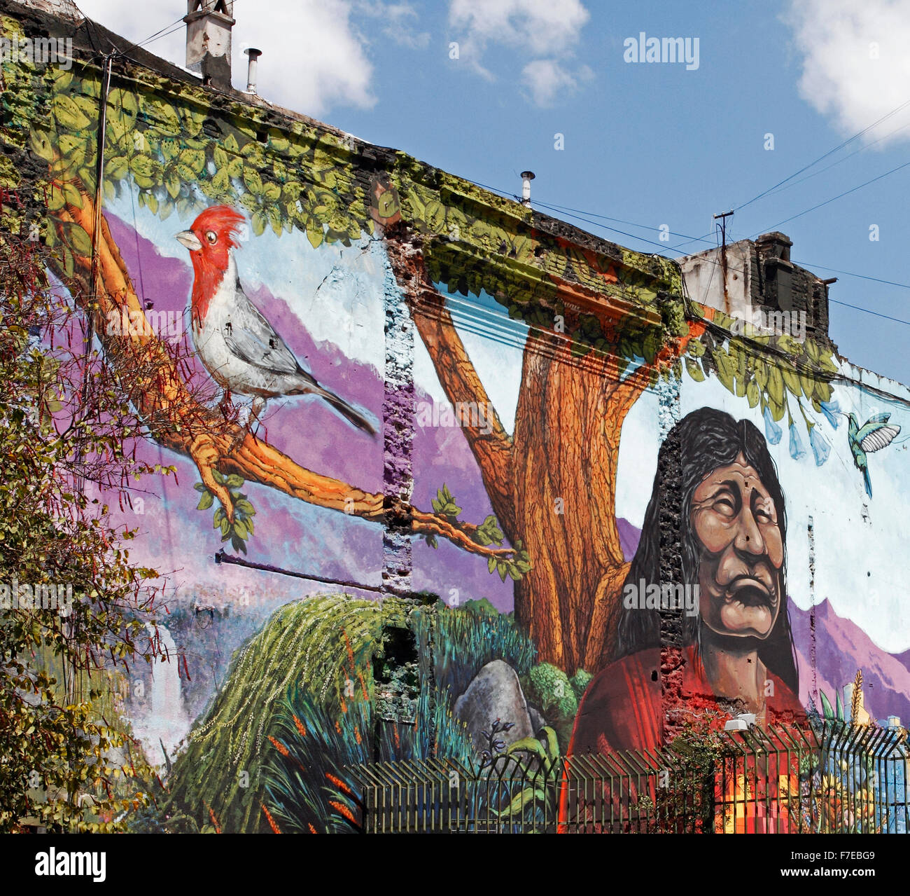 Wall mural showing an indigenous Native Indian Stock Photo - Alamy