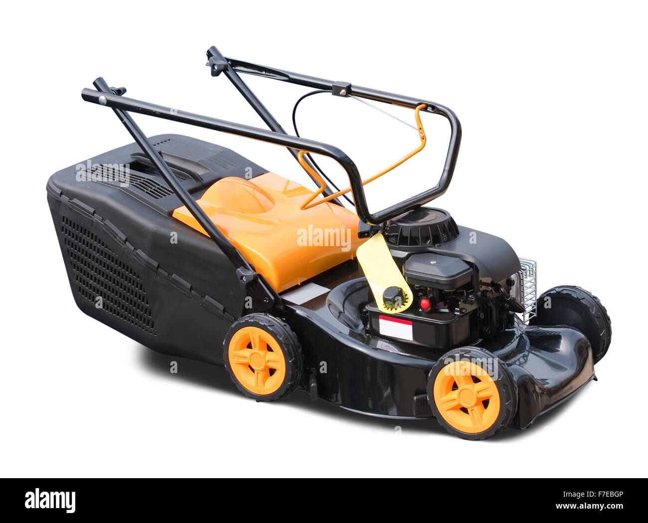 Grasscutter High Resolution Stock Photography and Images - Alamy