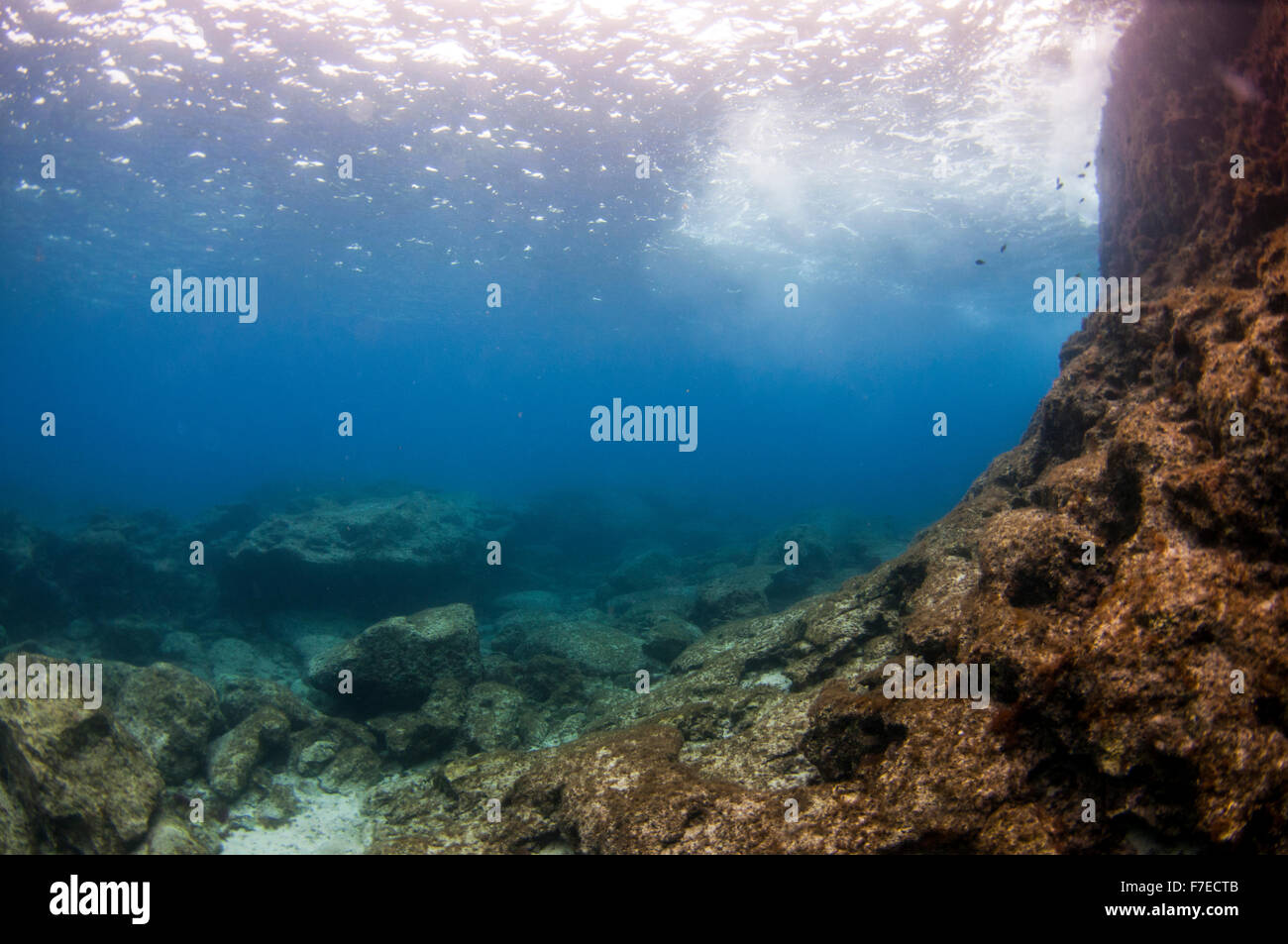 Underwater rocks hi-res stock photography and images - Alamy