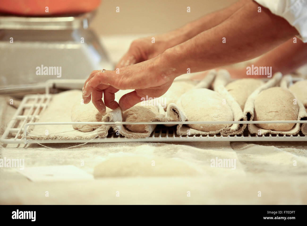 The shaped loaves are allowed to leaven before baking, Photographed at ...