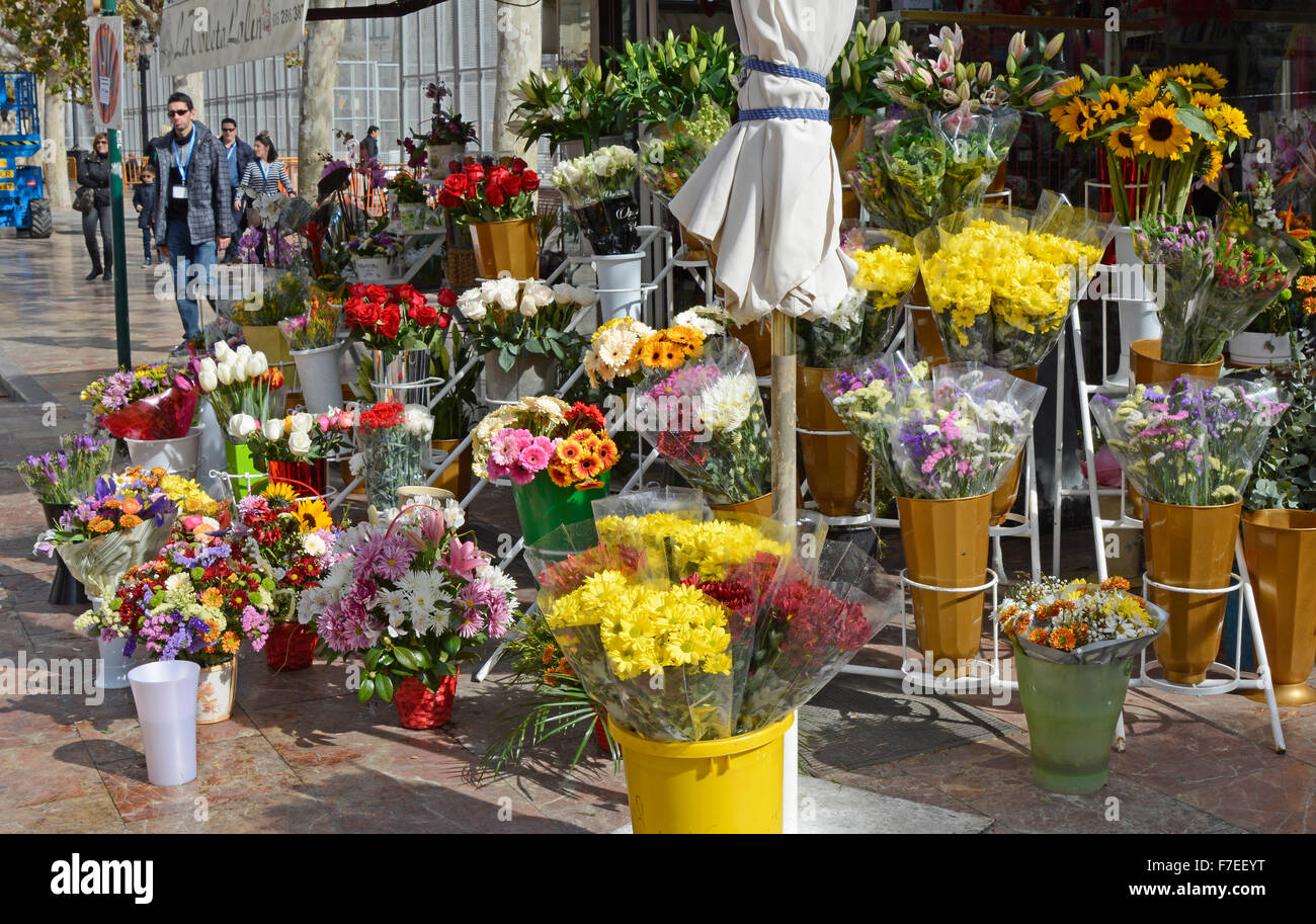 Florist shop sidewalk hi-res stock photography and images - Alamy