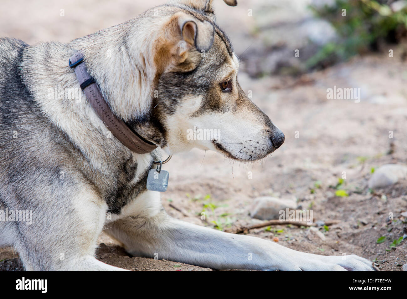 Lazy eye hi-res stock photography and images - Alamy