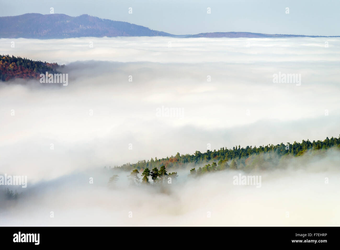 Great overcast over Alsace. View from top of the mountain. Fog sea ...