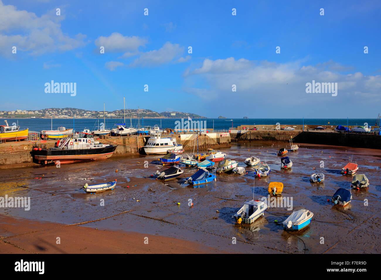 Boats in paignton harbour devon hi-res stock photography and images - Alamy