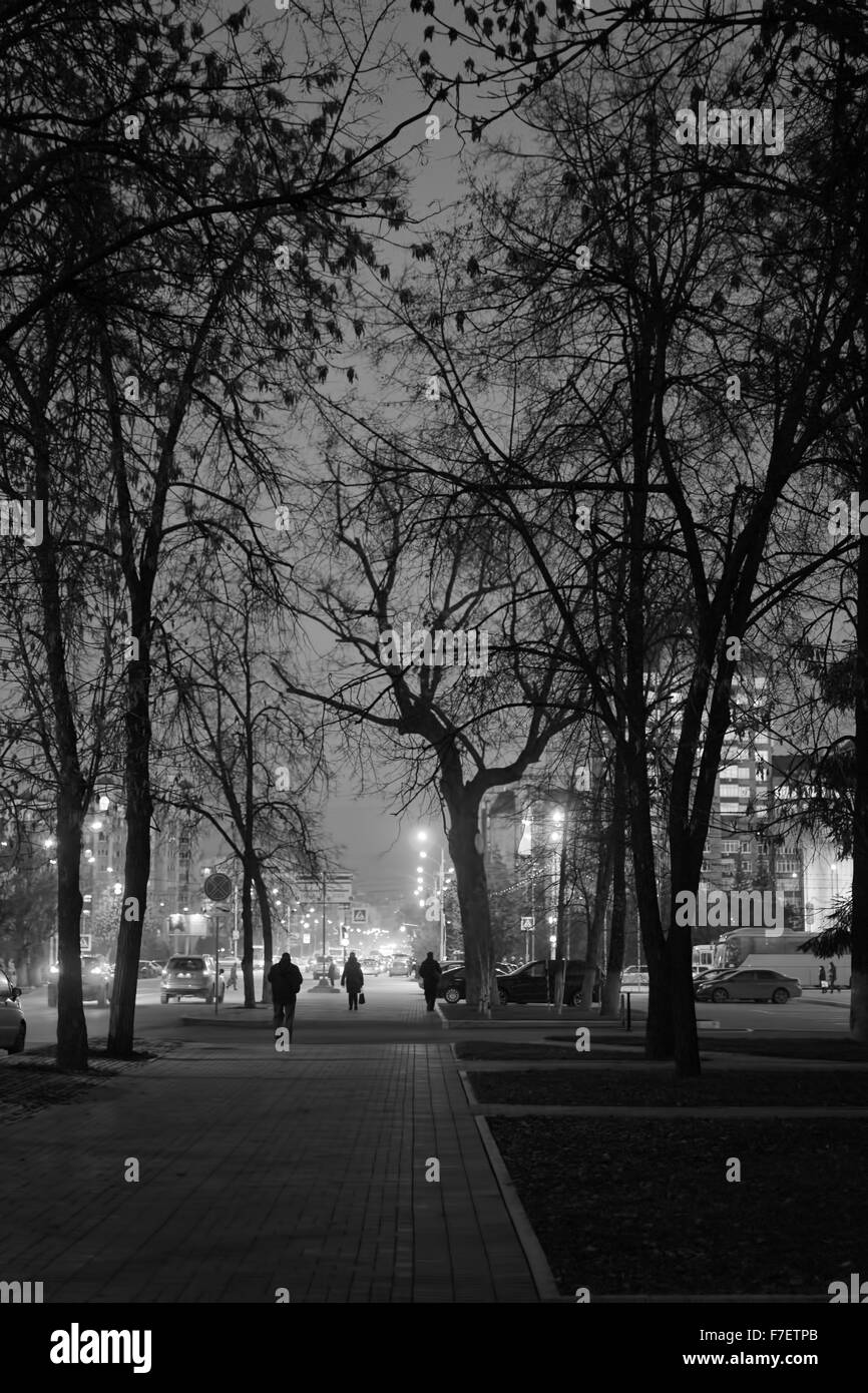 City view with trees hi-res stock photography and images - Alamy