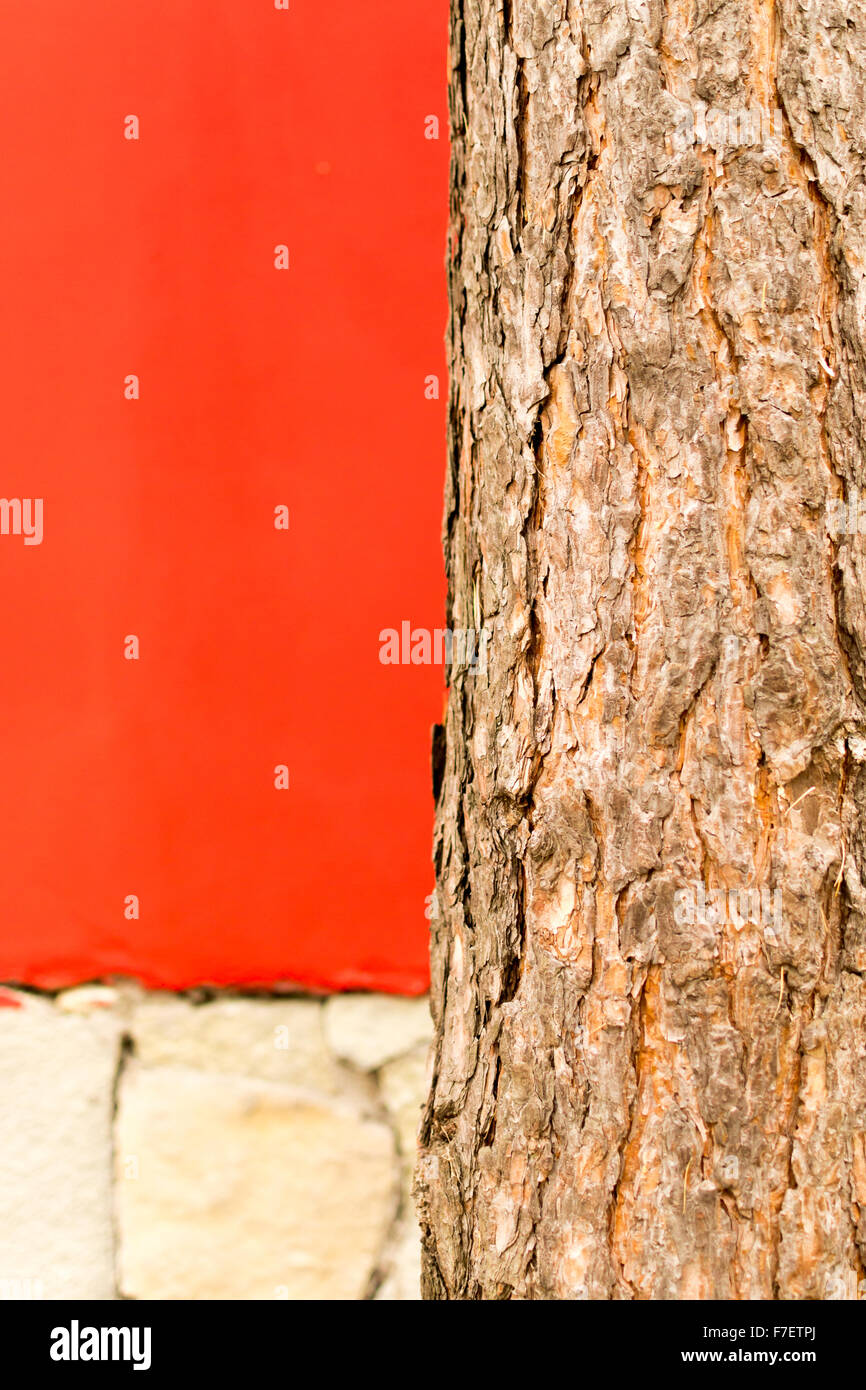 Vertical pine tree trunk with a red brick background and copyspace ...