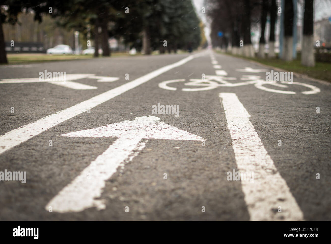 White pedestrian cycle and footpath in white paint with an arrow sign ...