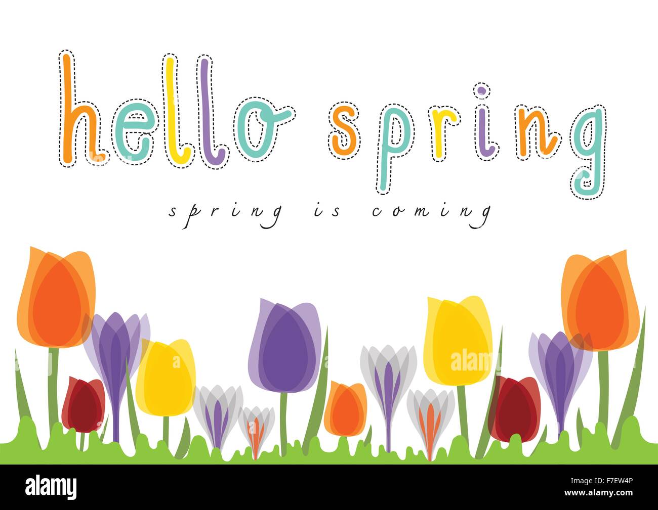 Hello Spring Tulip, Spring is coming Stock Vector Image & Art - Alamy